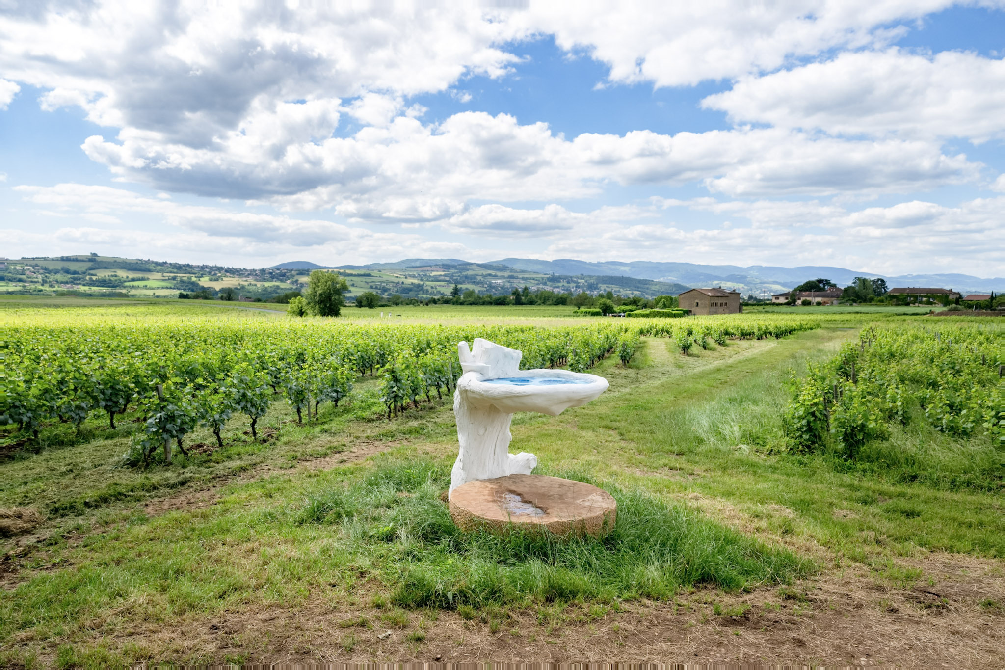 Circuit - D’or et de vin - Les Murmures du Temps